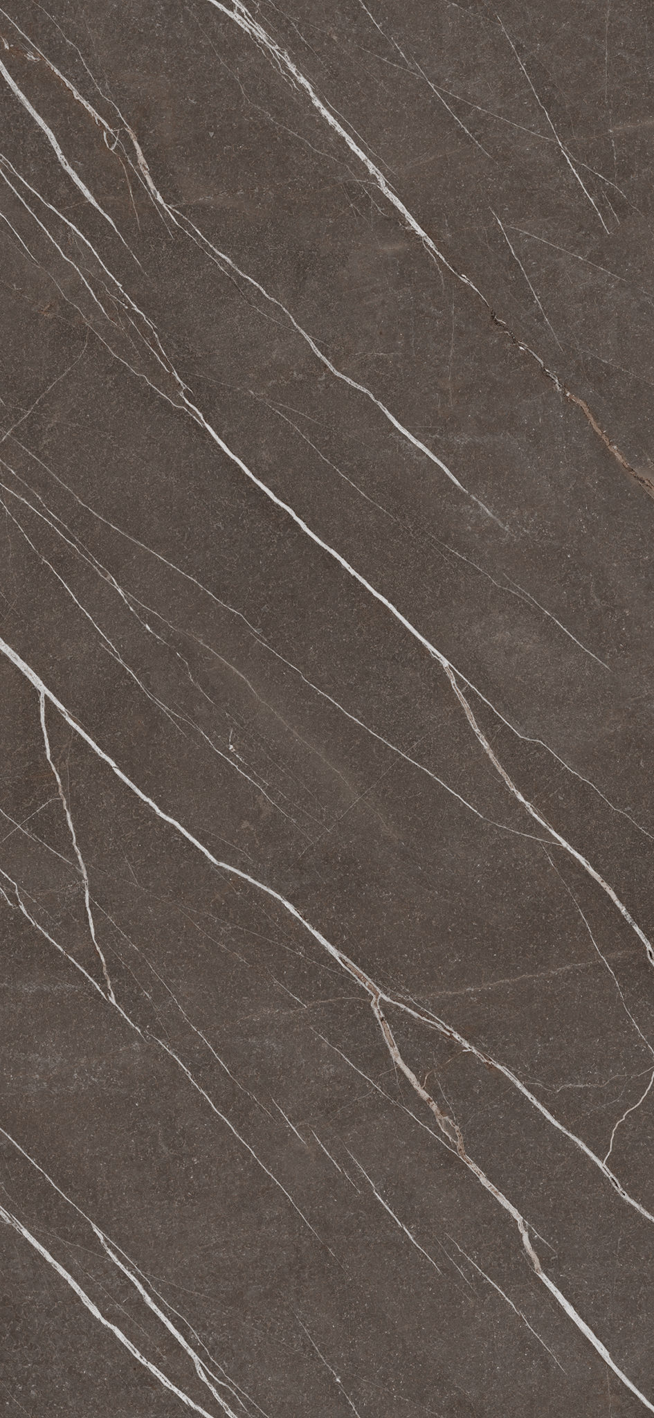 3446 KER Pulpis Dark - raro.pl